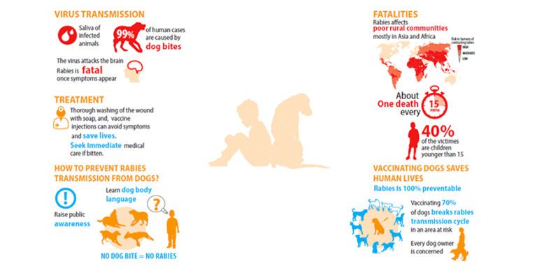 Rabies Same Day Doctor Medical Services | Regent Street Clinic